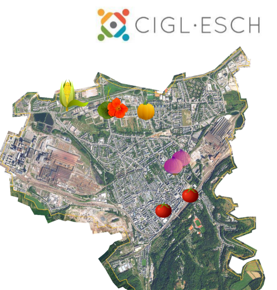 Edible Cities Network